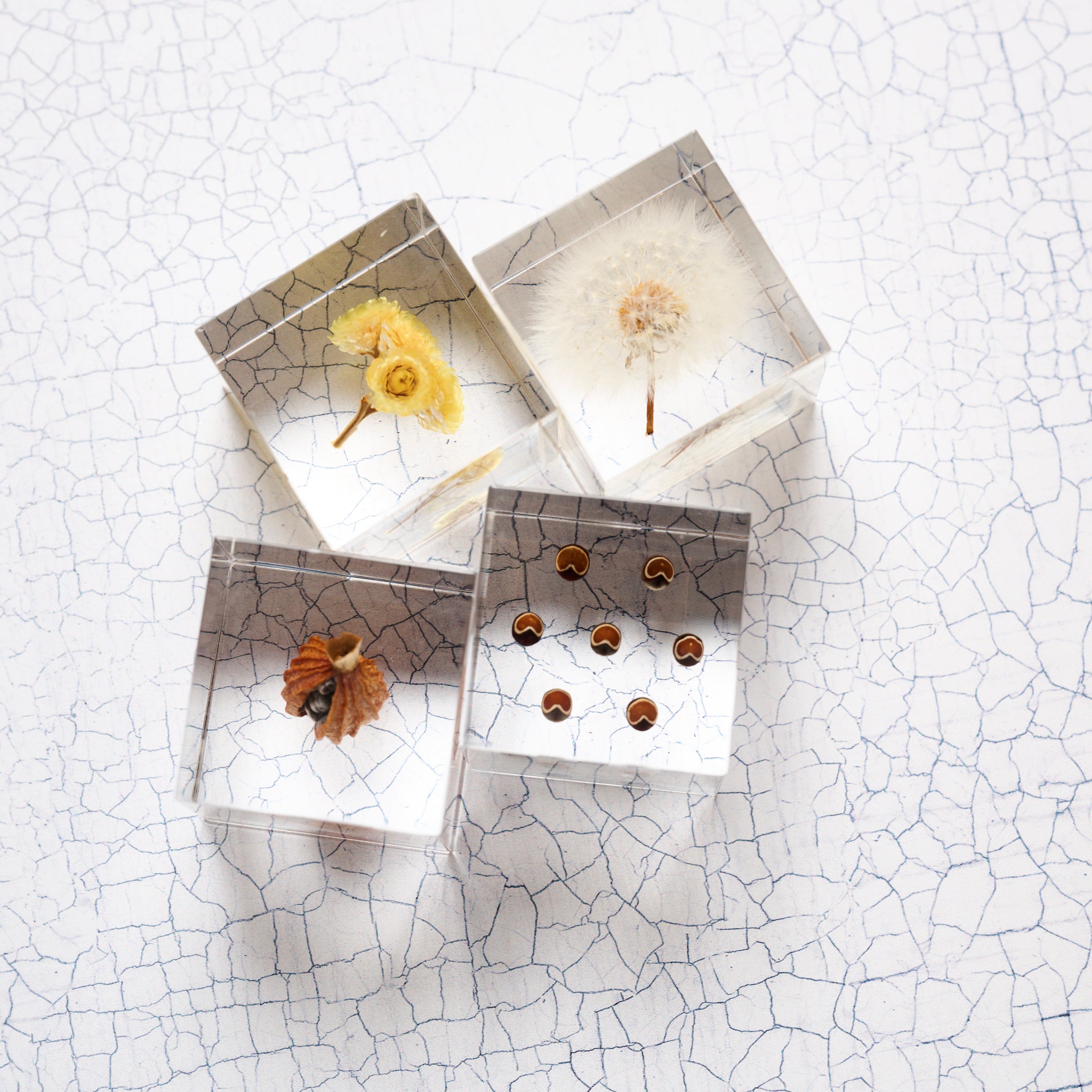 Japanese Botanical Cube – Blanche + Mimi