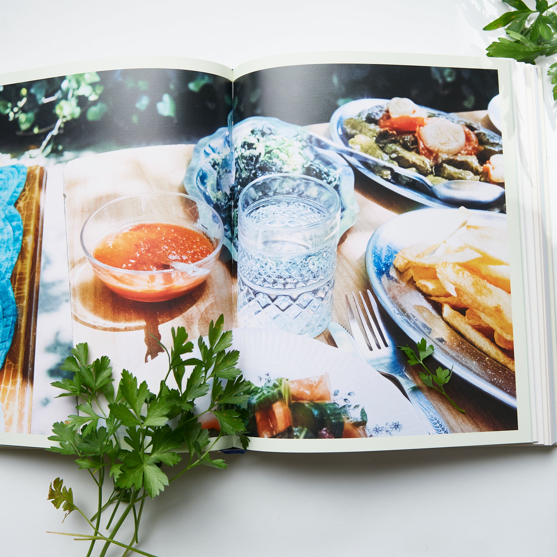 A Spoonful of Sun Cookbook – Blanche + Mimi